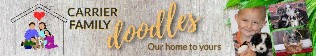 Carrier Family Doodles – Our Home to Yours