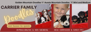 Welcome to Carrier Family Doodles! - Carrier Family Doodles